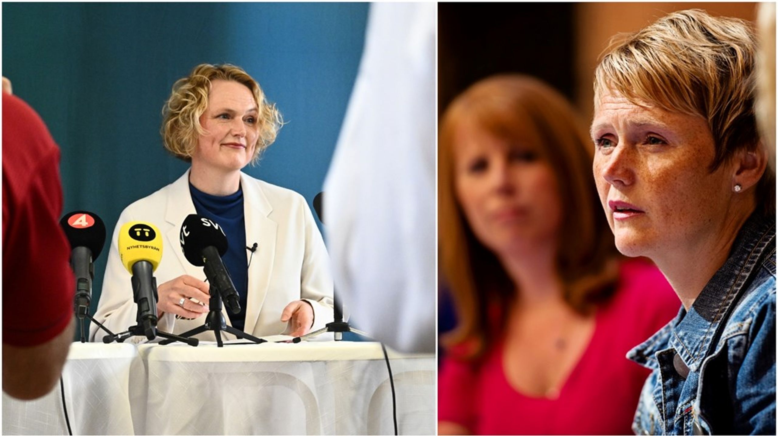 Allt du behöver veta om Anna-Karin Hatt - Altinget